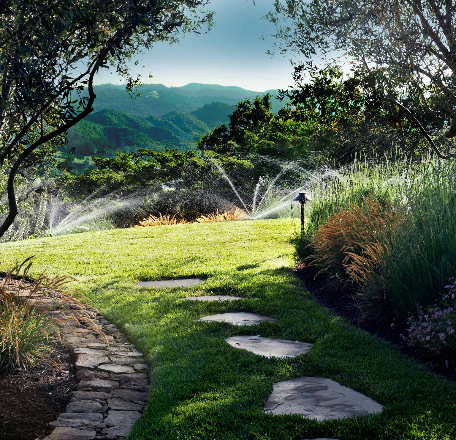 Our Service Plans Make It Easy | Doctor Sprinkler