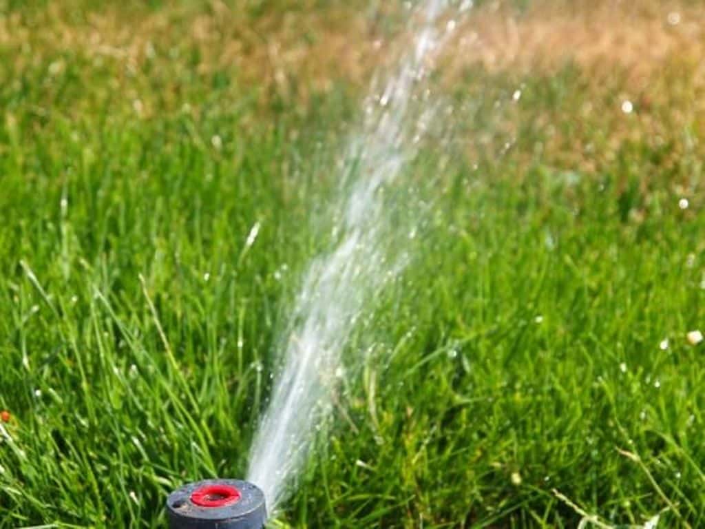 Sprinkler Head discolor grass | Doctor Sprinkler