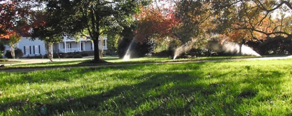 Sprinkler Trees | Doctor Sprinkler