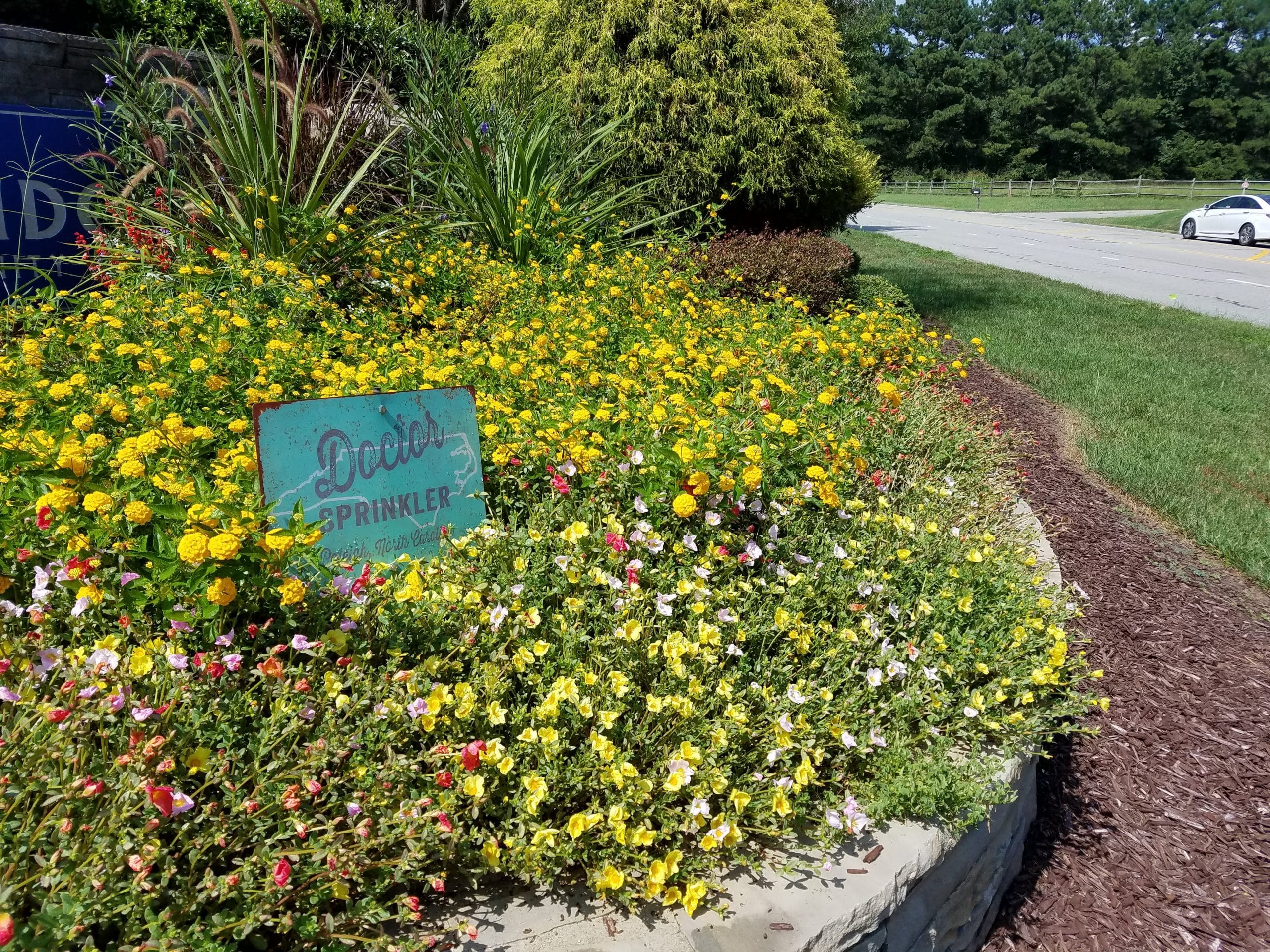 Doctor Sprinkler Sign In Flowers | Doctor Sprinkler