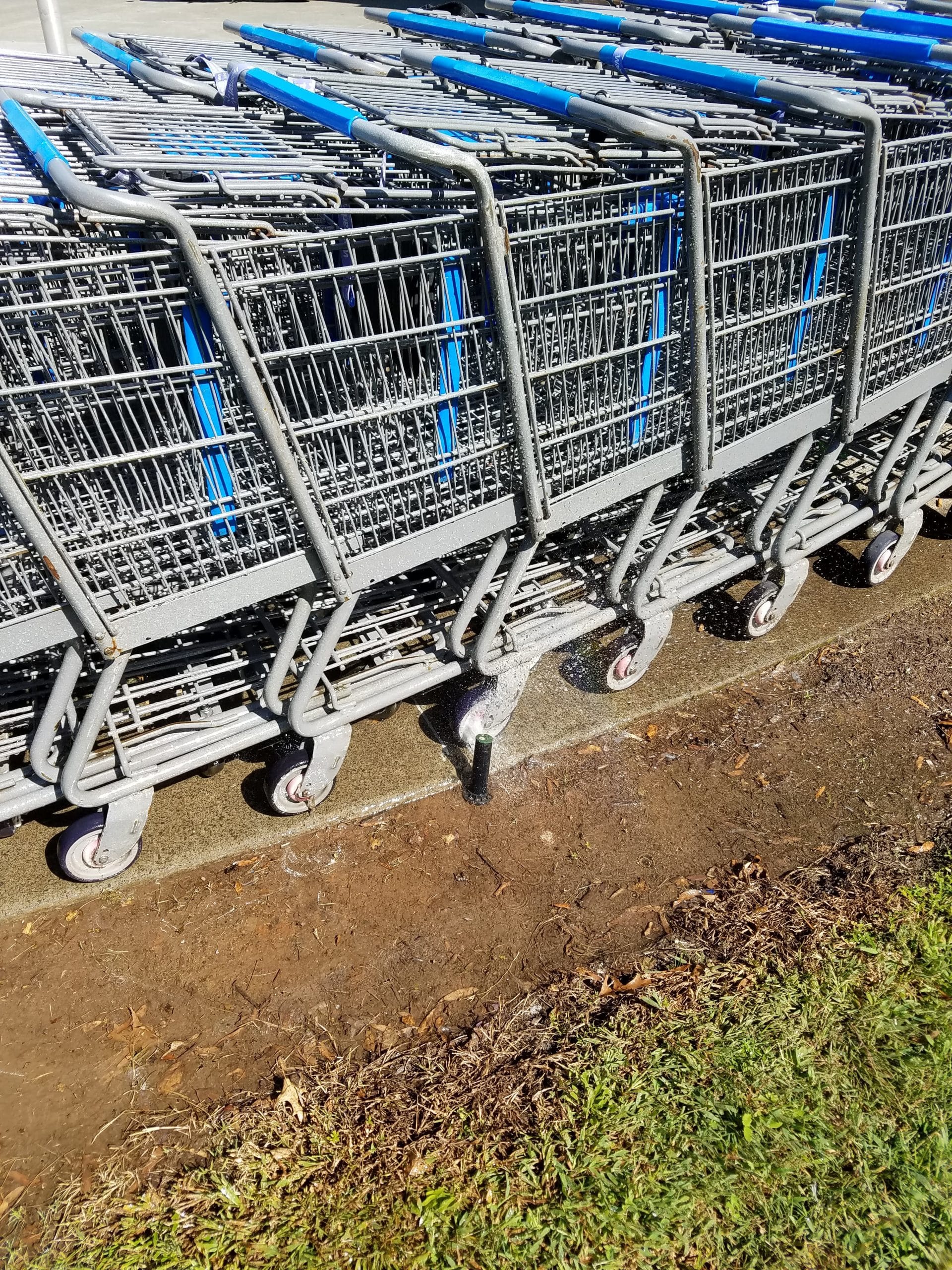 Commercial Irrigation | Doctor Sprinkler