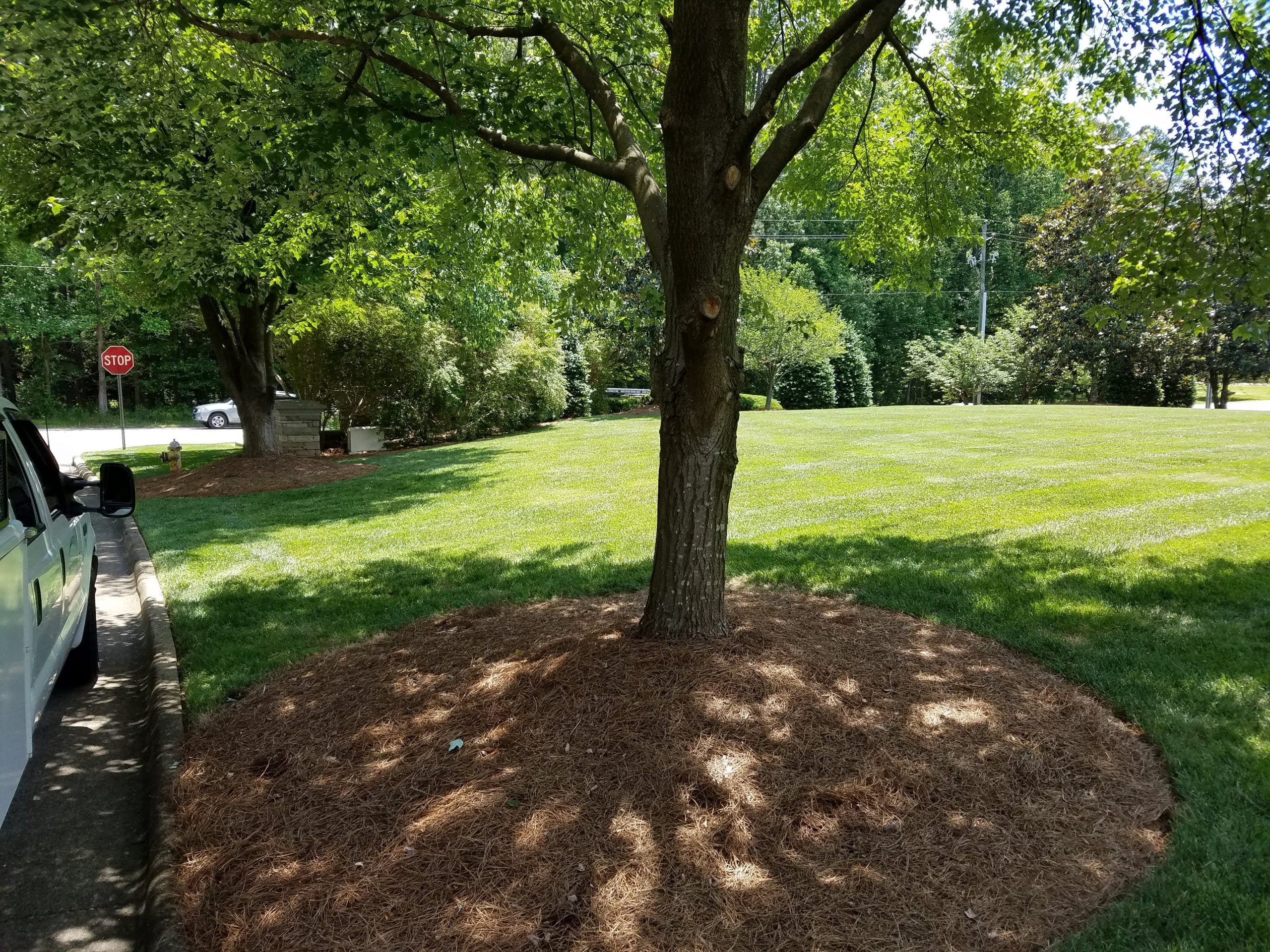 Commercial Irrigation | Doctor Sprinkler