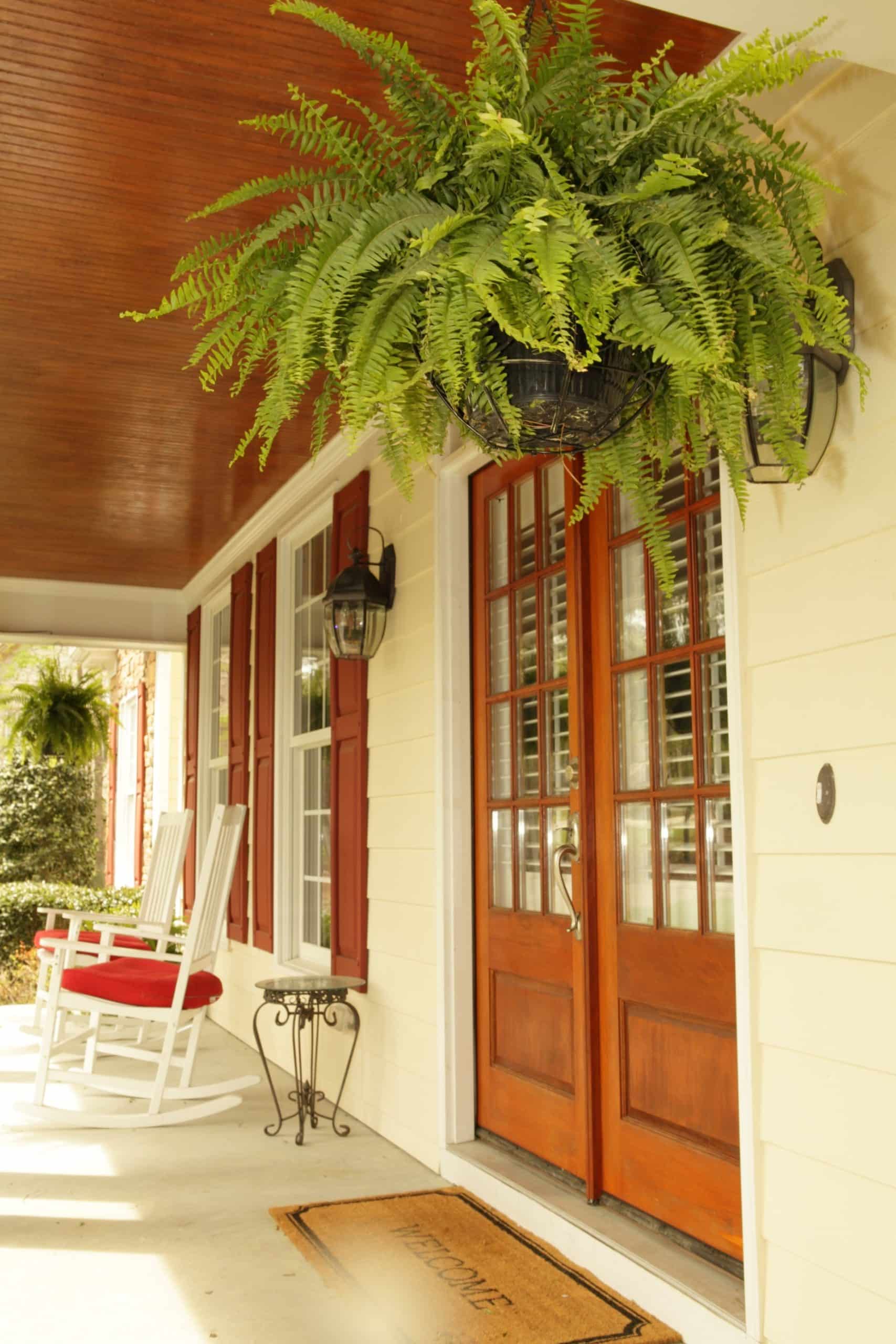 Doctor Sprinkler Flowers | Doctor Sprinkler