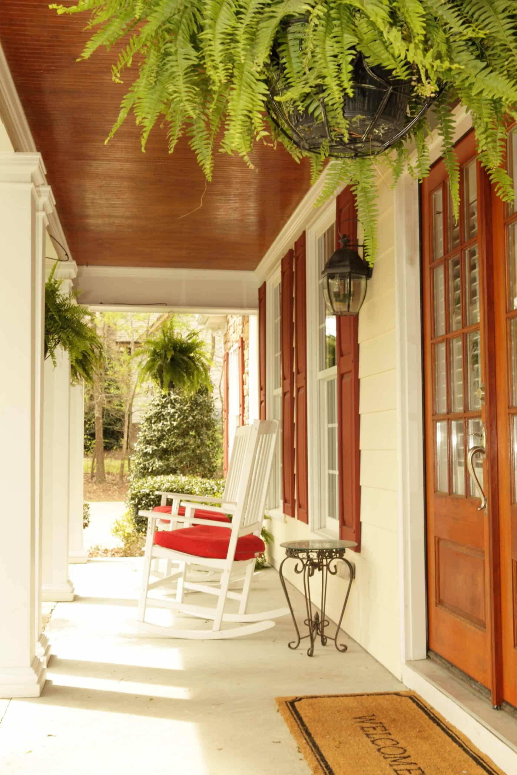 Doctor Sprinkler Flowers | Doctor Sprinkler