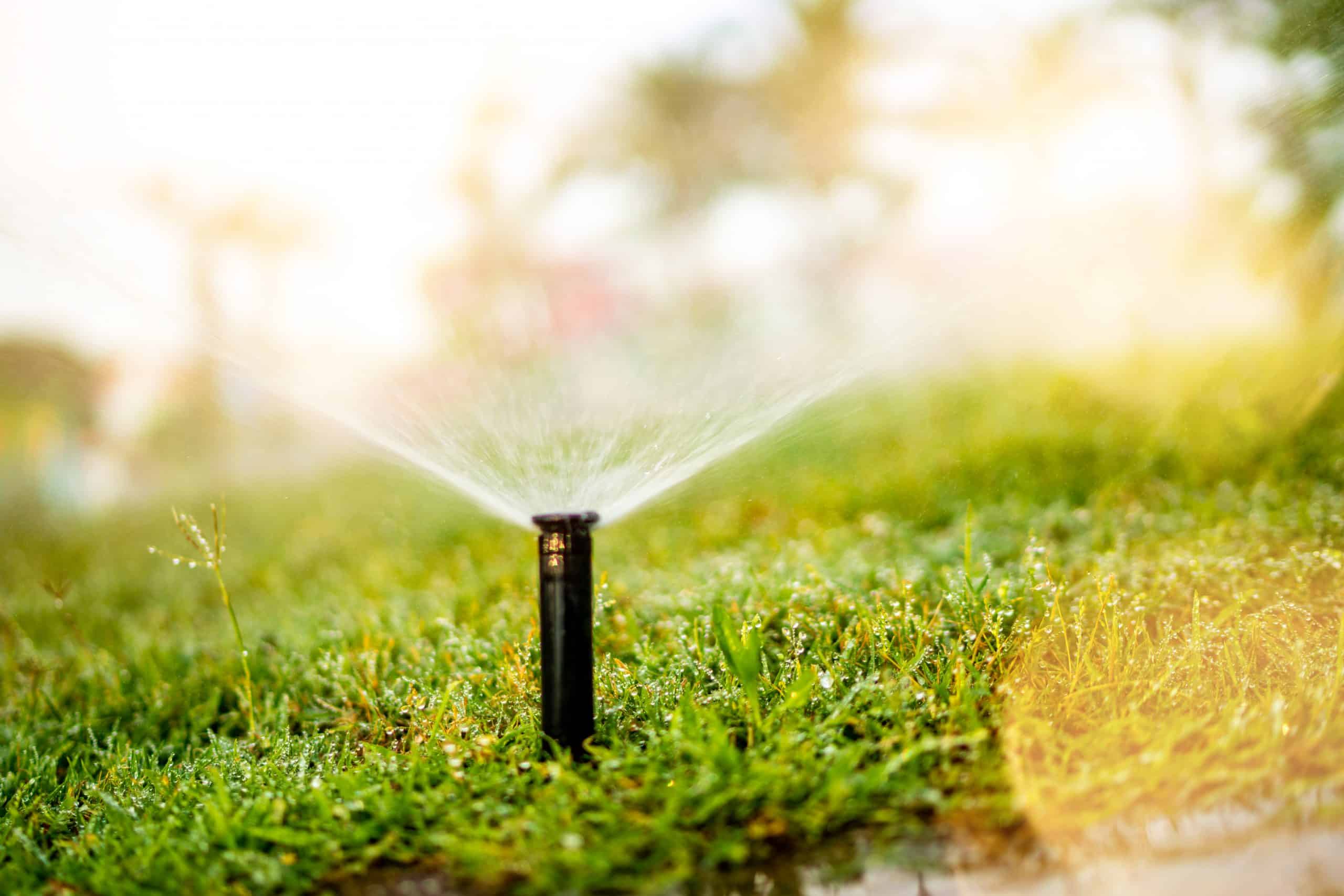 Your Sprinkler Solution For Sunny Weather | Doctor Sprinkler