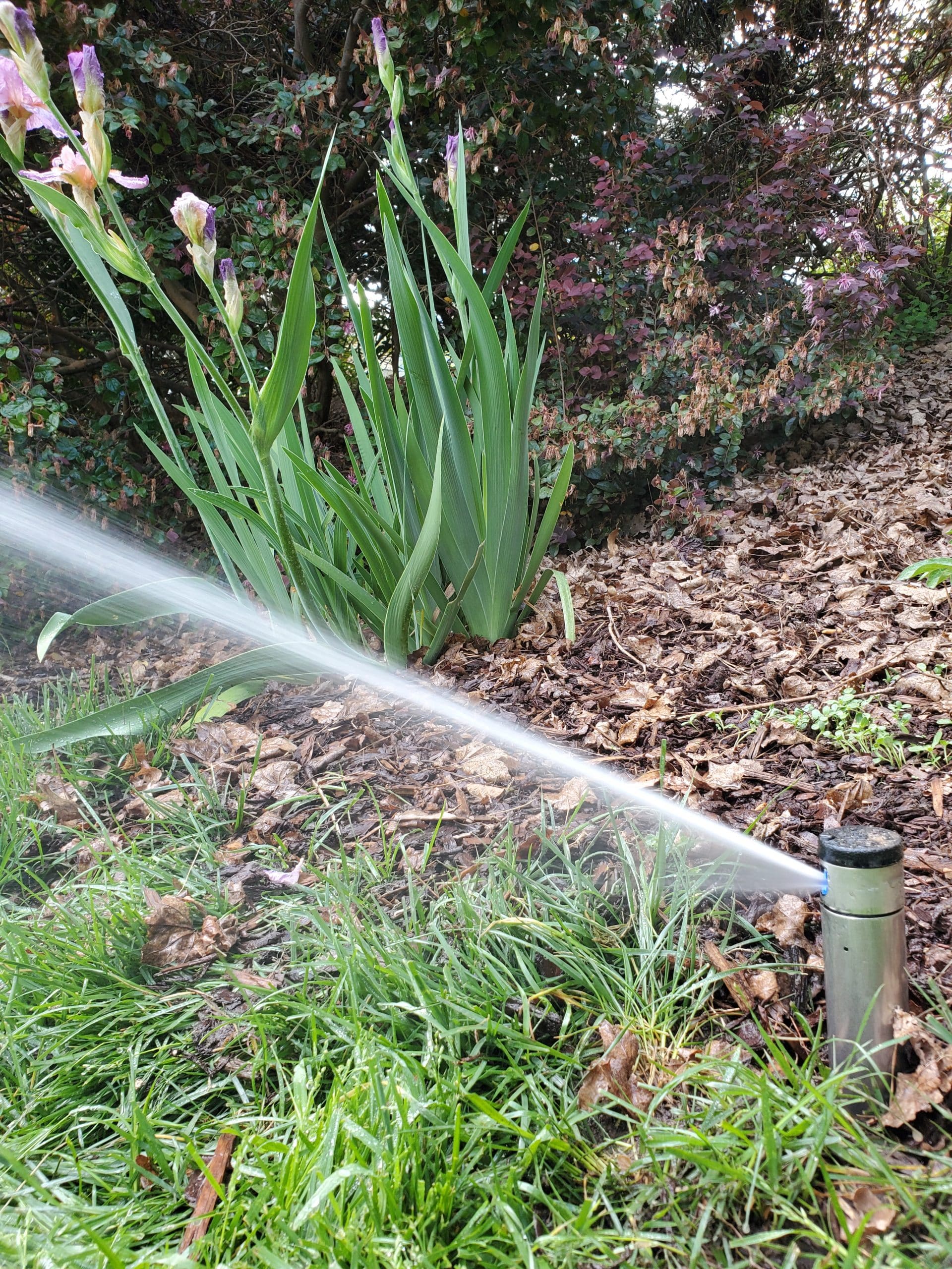 Professional Irrigation Services | Doctor Sprinkler