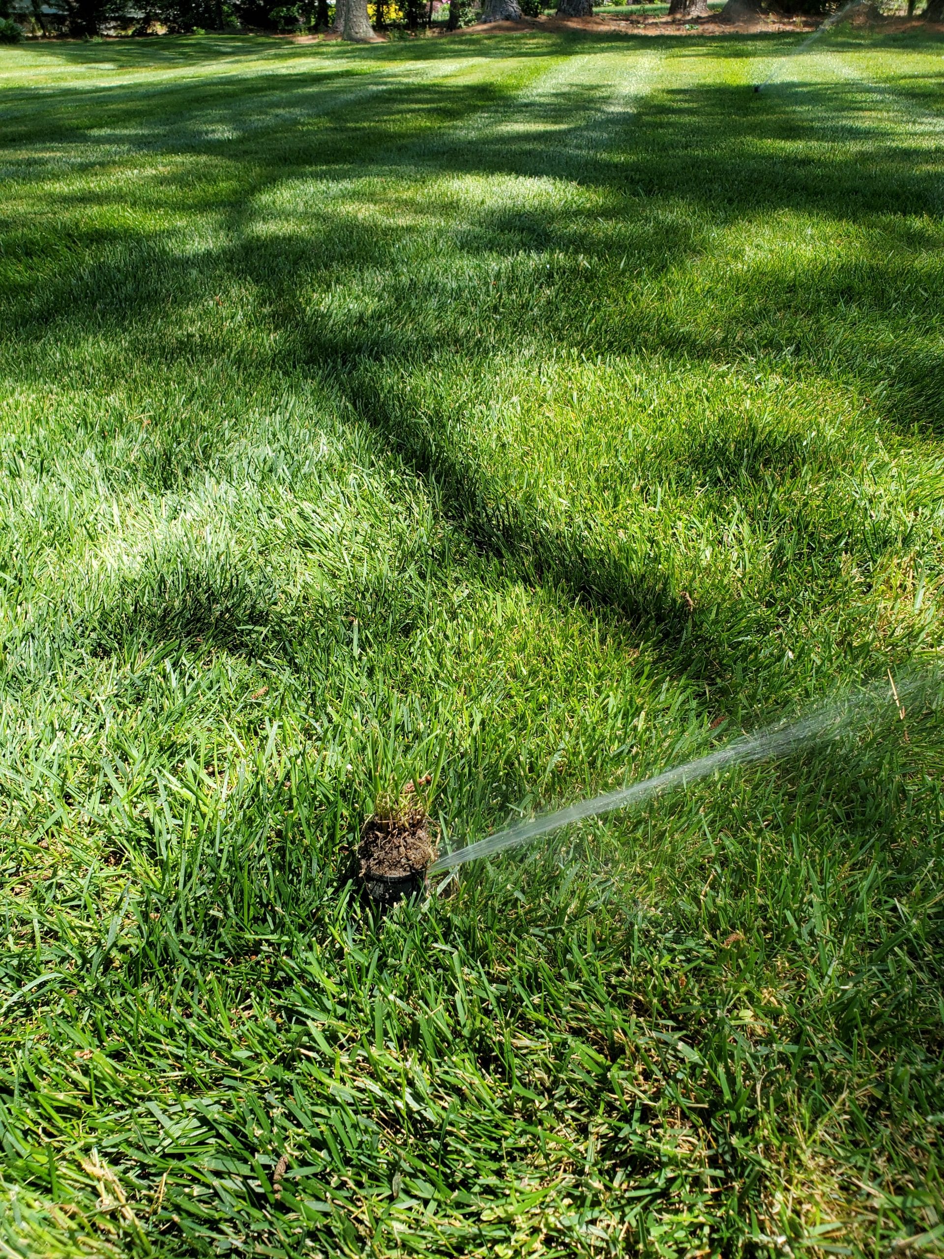 Sprinkler Services | Doctor Sprinkler